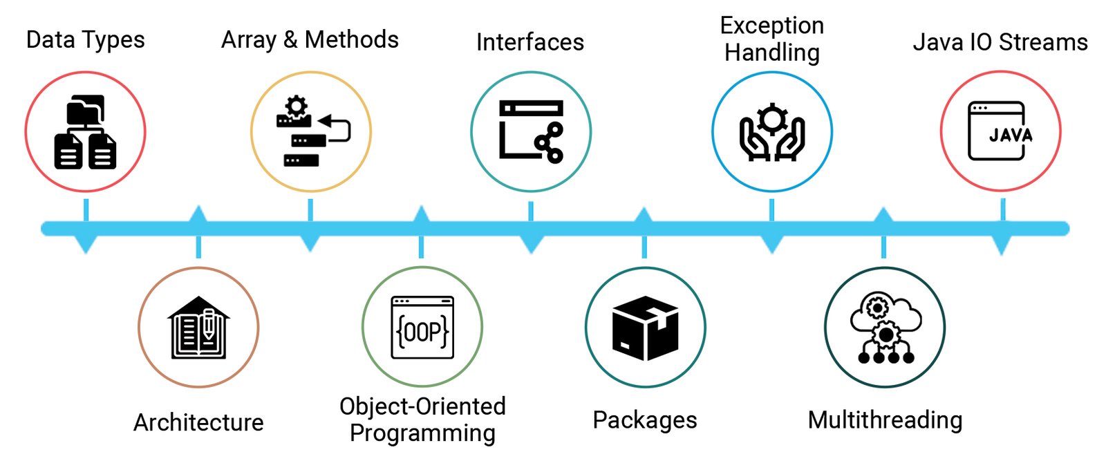 Become a Java Expert and Code with Confidence - Visual Labs